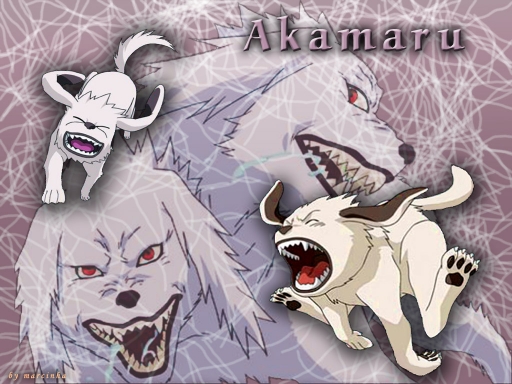 Akamaru by marcinha